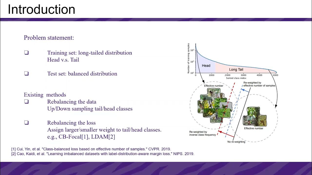 Taibiao Zhao@LSU: Rethinking Class-Balanced Methods for Long-Tailed Visual Recognition - YouTube