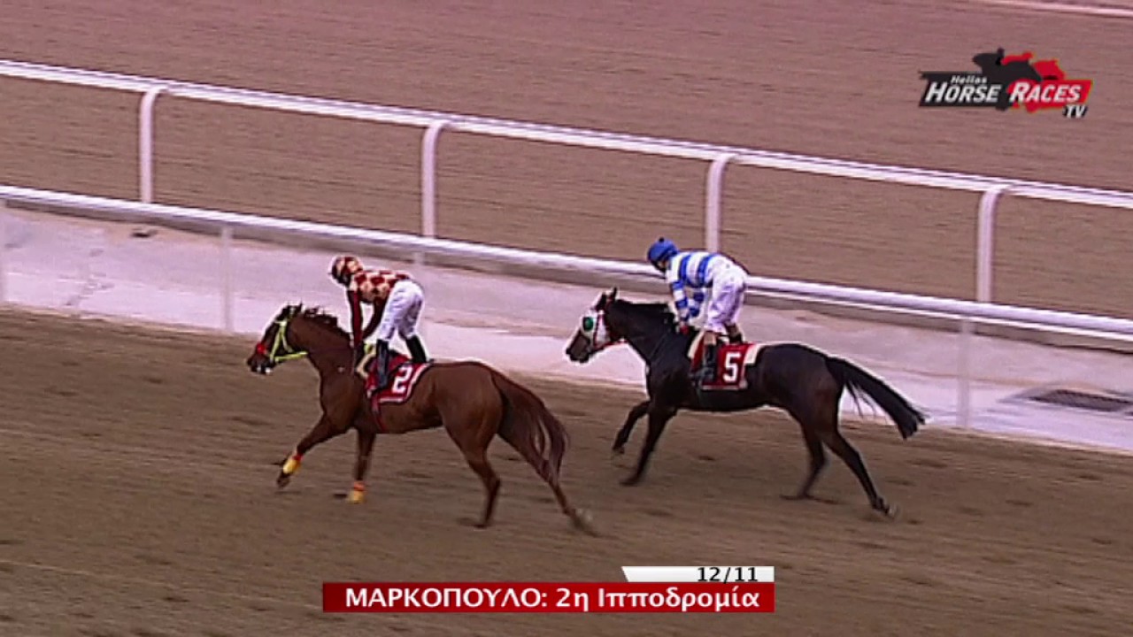 ΜΑΡΚΟΠΟΥΛΟ 2η ΙΠΠΟΔΡΟΜΙΑ 12/11/2016 [243] ΝΙΚΗΤΗΣ: ΜΠΛΟΥΜΣΜΠΕΡΥ ΣΤΑΡ ...