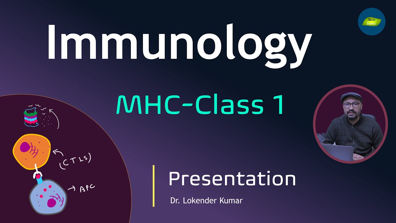 MHC Class Structure and Function Presentation Immune System Basic ...