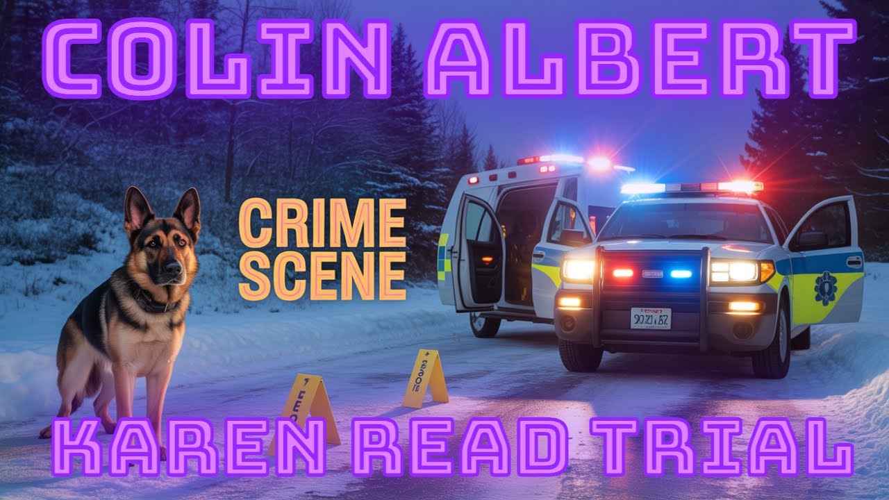 Colin Albert Exposed by Alan Jackson for DECEPTION in the Karen Read ...