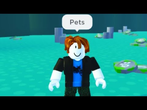 ROBLOX Pets Simulator Funny Moments - YouTube