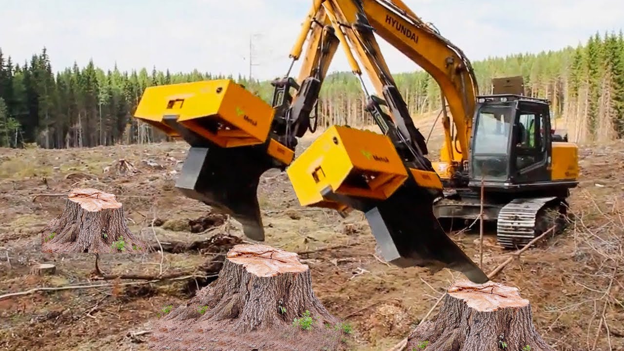 Dangerous Fastest Long Reach Excavator Cutting Tree, Biggest Chainsaw ...