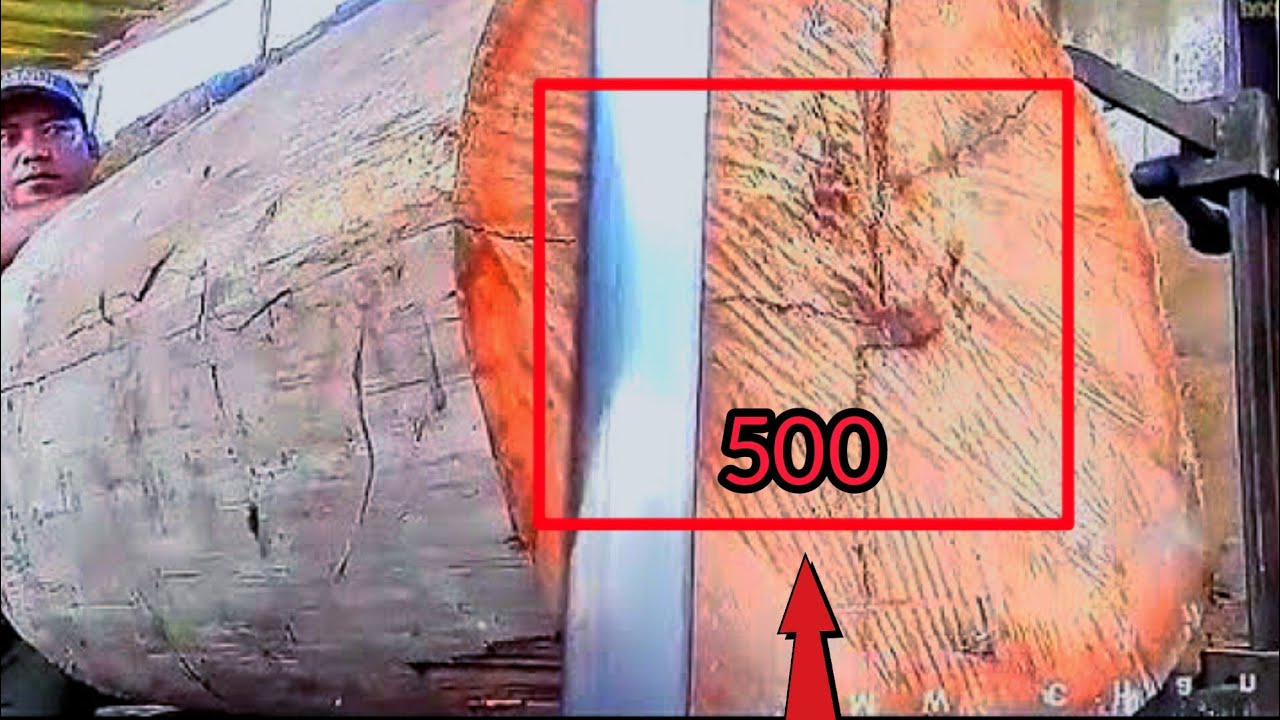 Cutting Very Hard And Dangerous Giant Wood In The Sawmill - YouTube