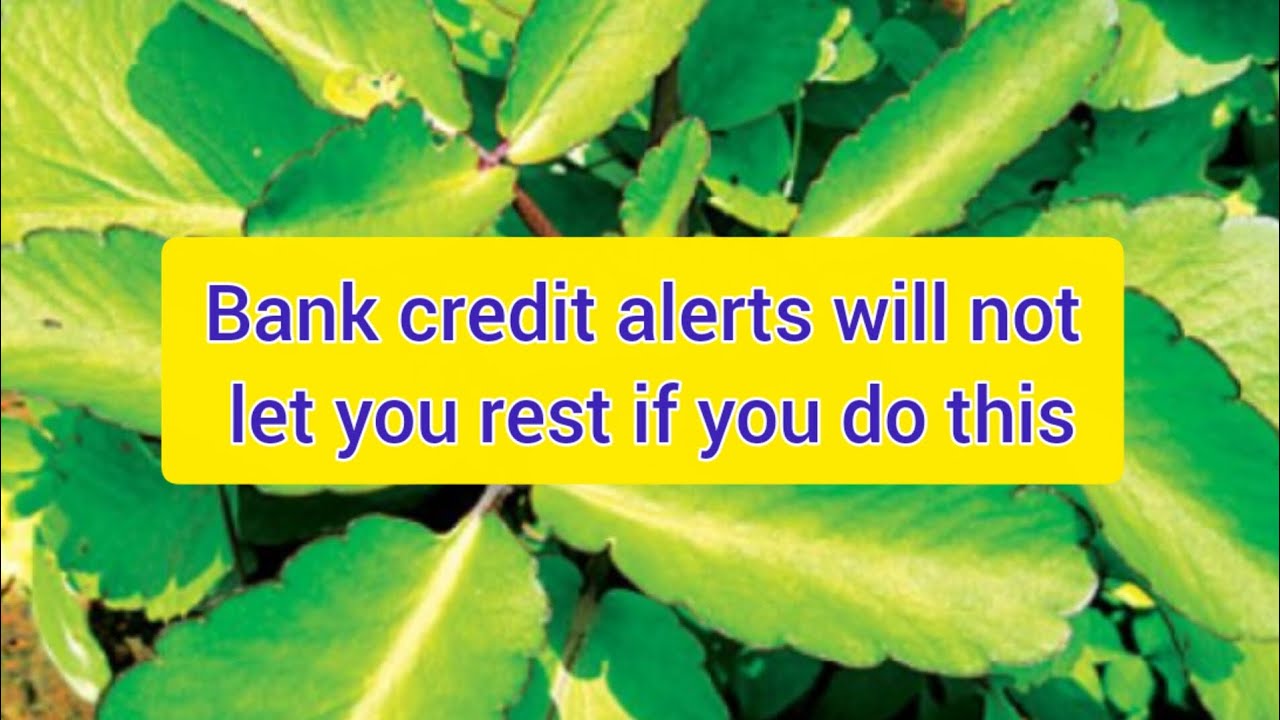 Bank credit alerts will not let you rest if you do this - YouTube