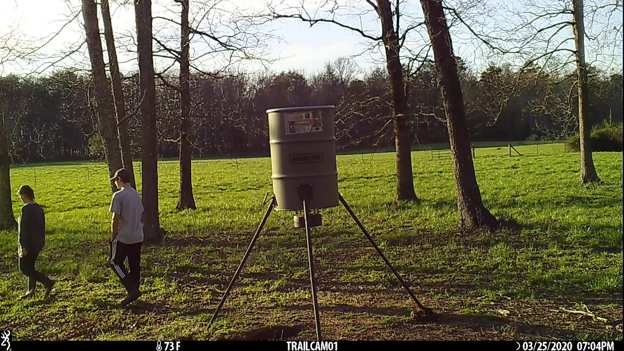 Caught some real critters on my cam - YouTube