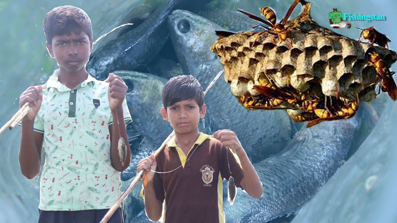 Koi mach fishing | Best fishing video | mach dhora video | fishingstan ...