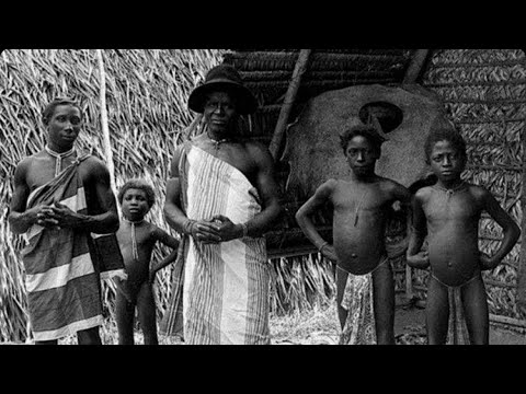 The Lokono Arawak Empire in Haiti, Puerto Rico, Jamaica ;Caribbean ...