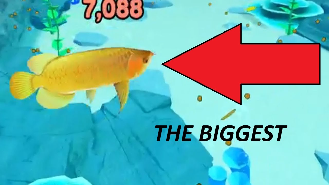 Becoming The BIGGEST Fish in This Roblox Game (Be Fish) - YouTube