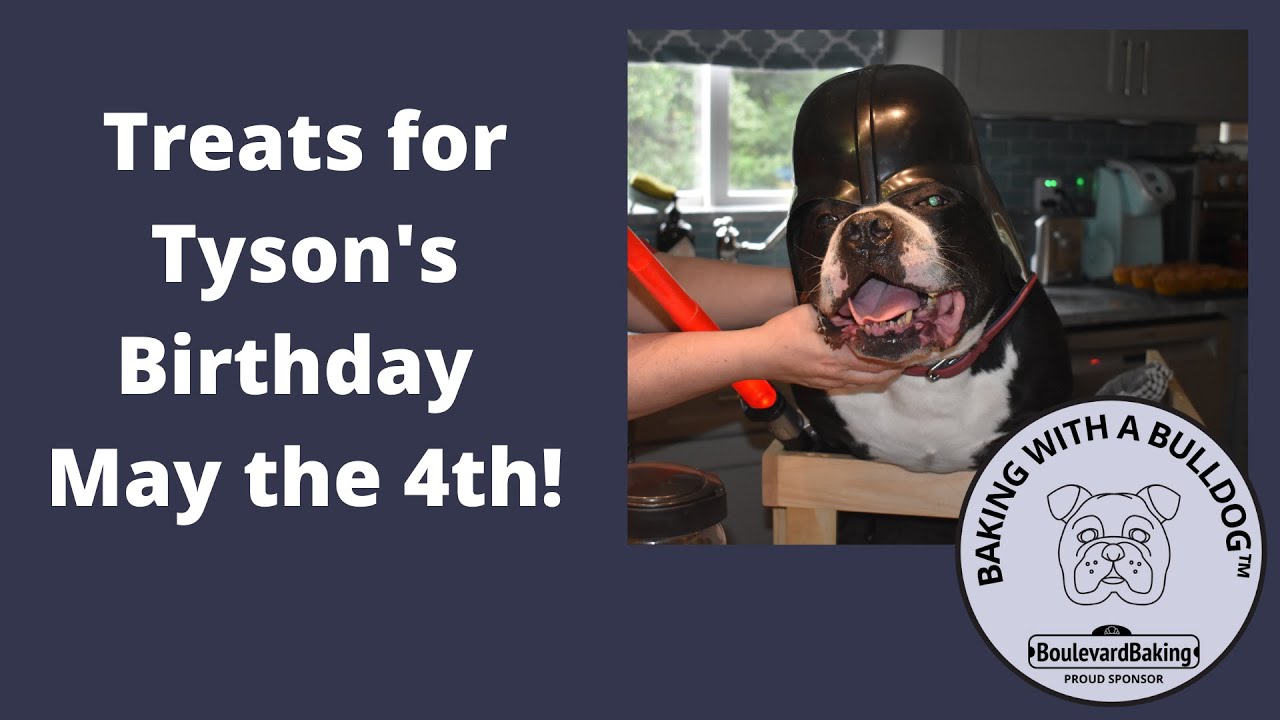 Tyson's Birthday Treats - May the 4th! Tyson as Darth Vader! - YouTube