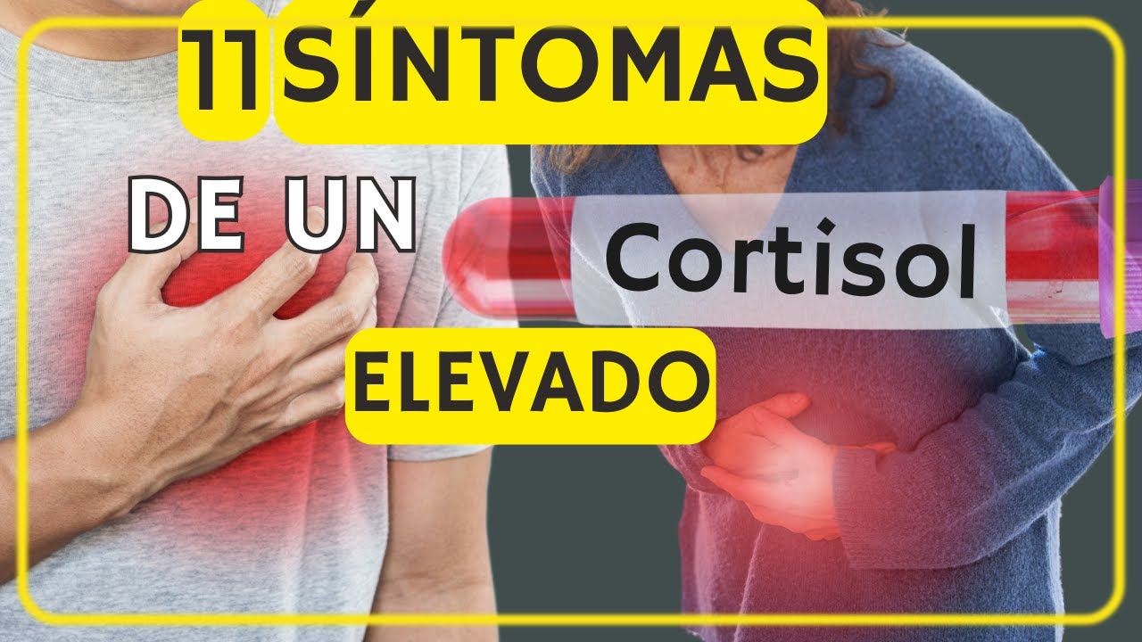 SÍNTOMAS del CORTISOL ELEVADO. La HORMONA del ESTRÉS - YouTube