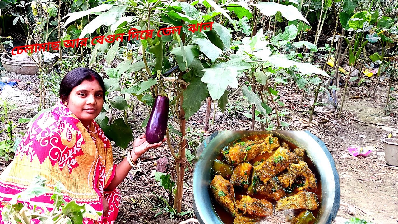 চেলামাছের রেসিপি ।। Chela fish curry recipe. bengali recipe. - YouTube