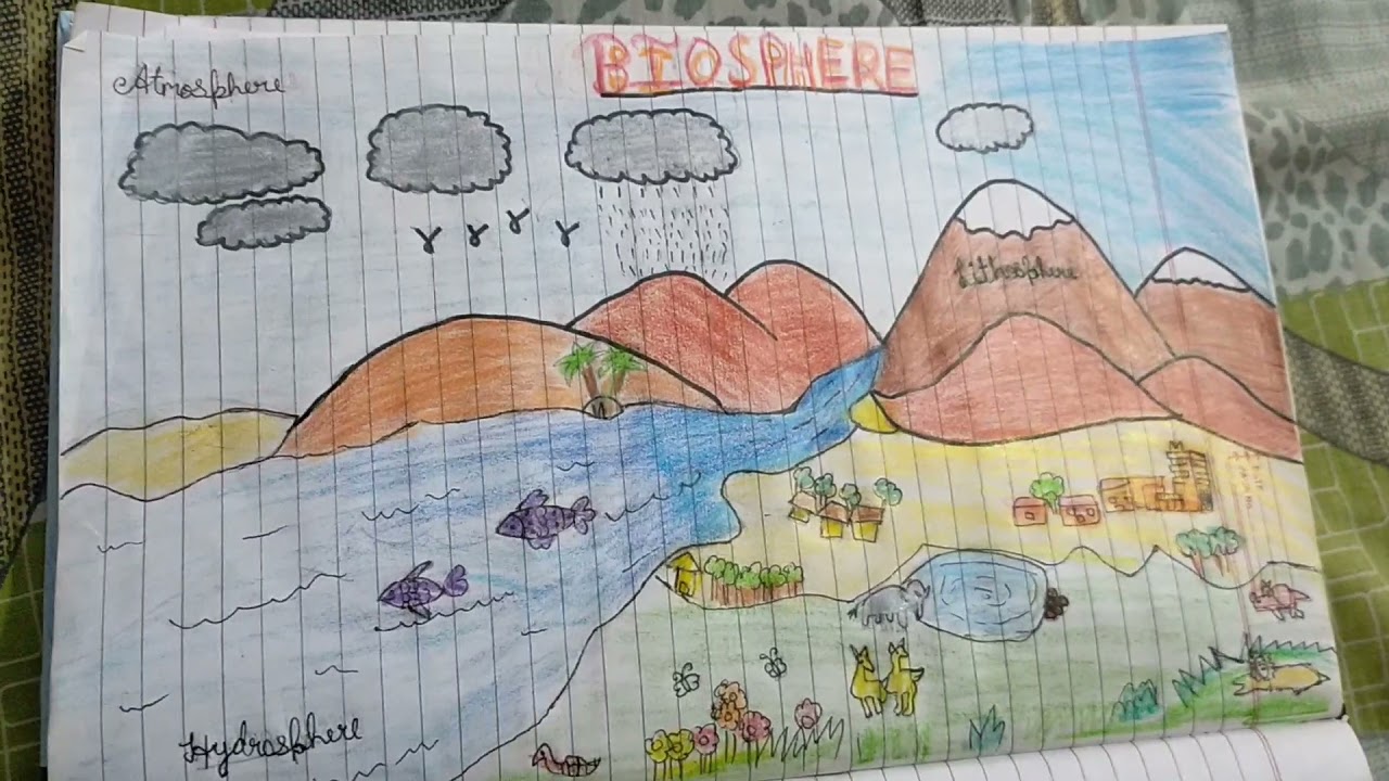 Biosphere Diagram For Kids