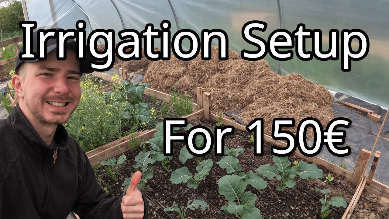 Step-by-Step Guide to Installing a Cheap Irrigation System for Your ...