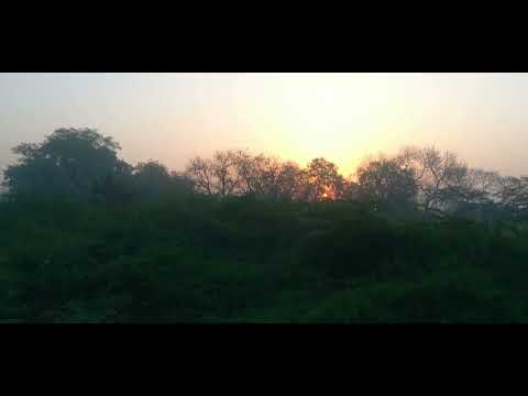 kai dino se shikayat nhi jamane se status song