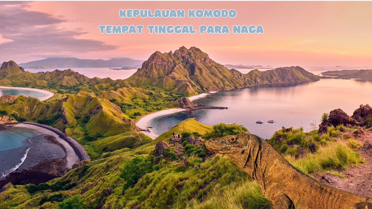 Mengenal Keunikan Kepulauan Komodo, Indonesia: Habitat Komodo dan Surga ...