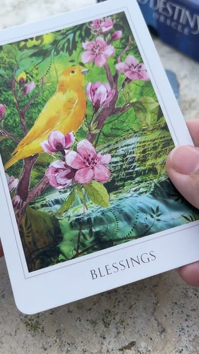 Oracle Card Message For The Day Oraclemessages Oraclecards Cardreading Youtube