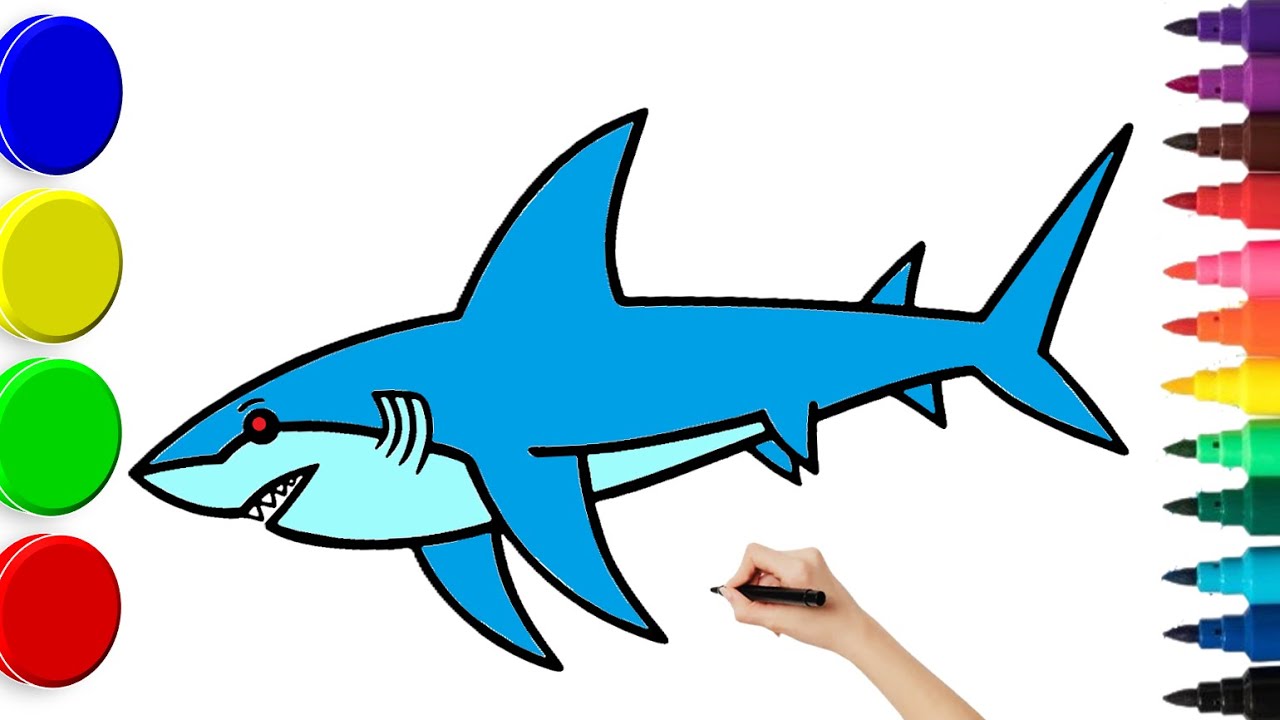 CARA MENGGAMBAR HIU | HOW TO DRAW SHARK - YouTube