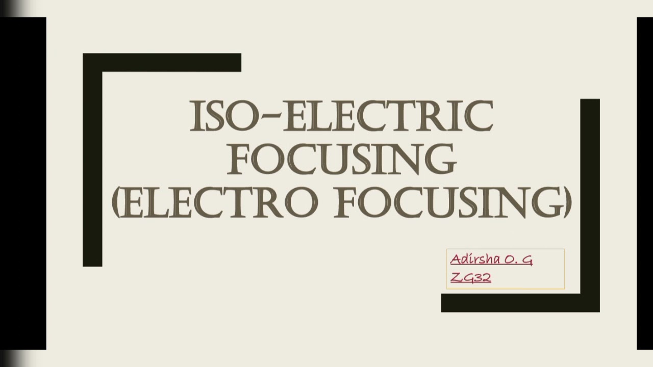 Iso-electric focusing (IEF) - YouTube