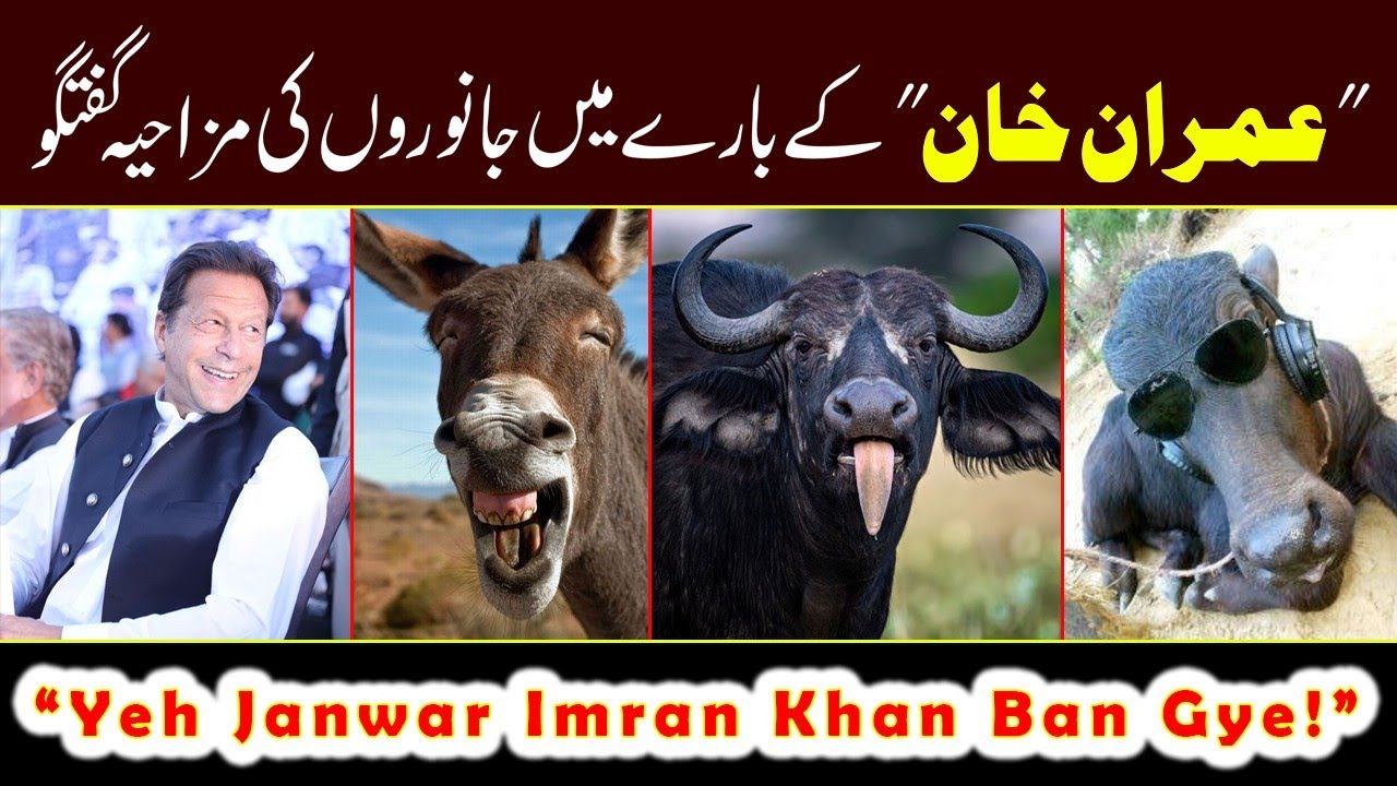 Imran khan tezabi totay 2025 | Punjabi funny dubbing | Punjabi totay ...