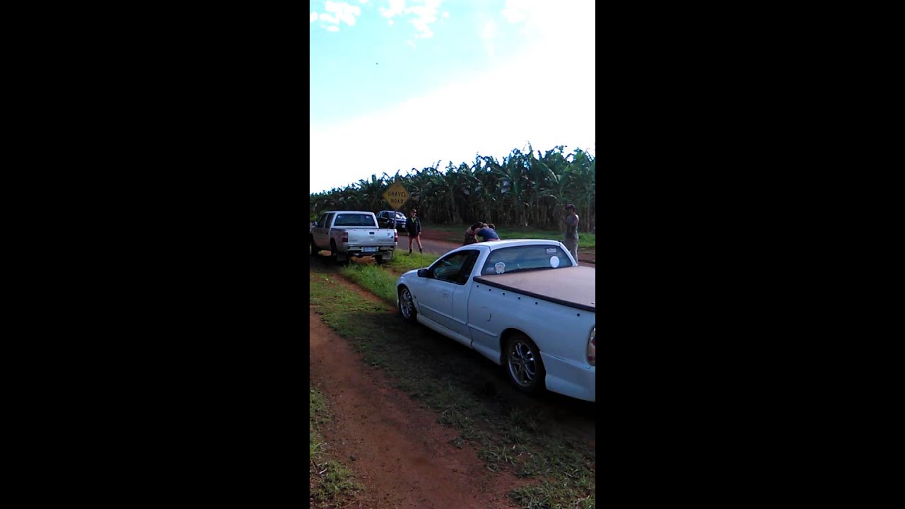 Mareeba fights - YouTube