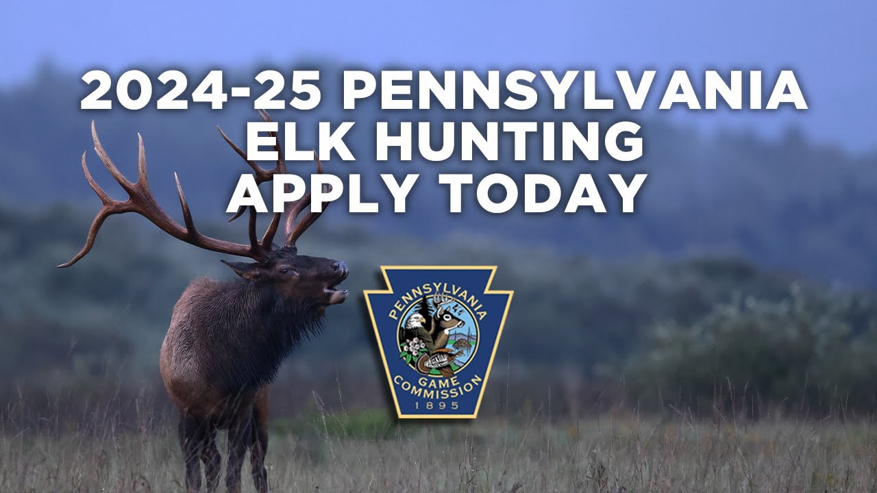 2024-25 PENNSYLVANIA ELK HUNTING: APPLY TODAY - YouTube