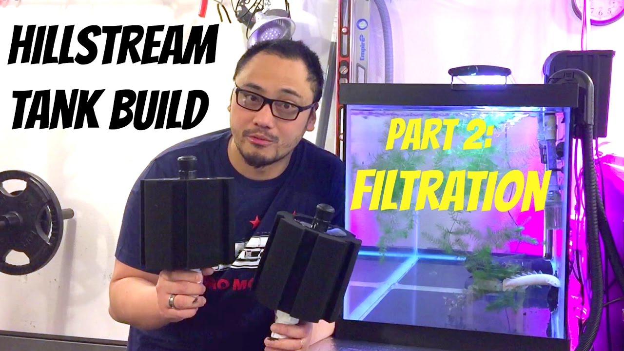 Hillstream Tank Build - Part 2: Filtration - YouTube