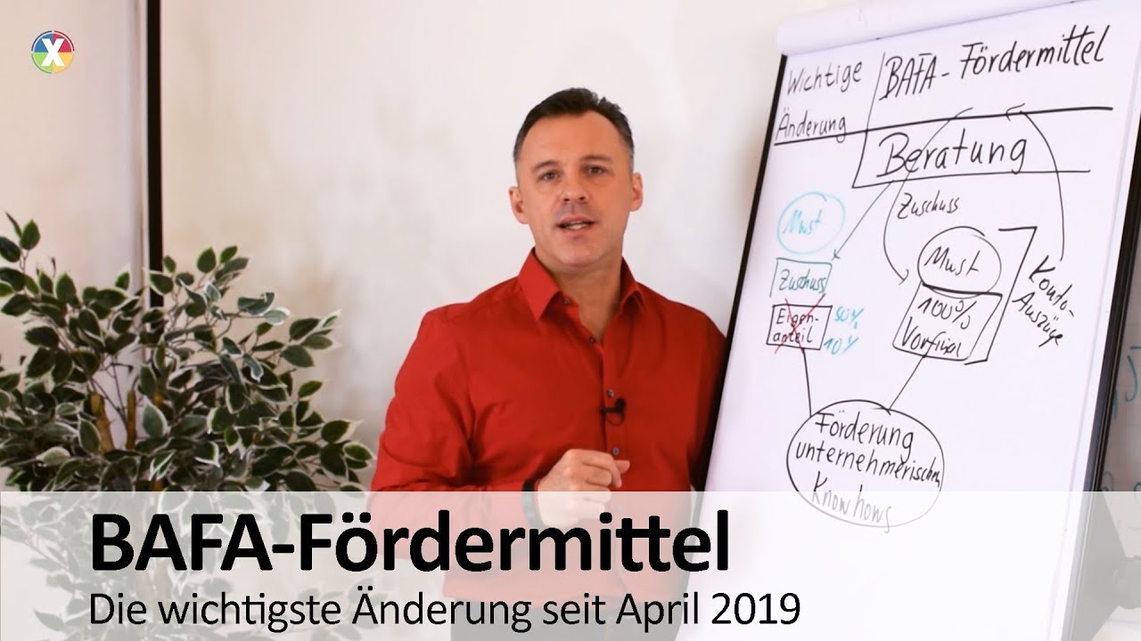 BAFA-Fördermittel: Änderungen ab April 2019 (kurz) - YouTube