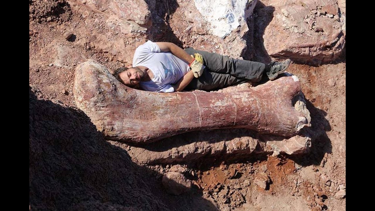 Clase magistral de Diego Pol: La Paleontología argentina - YouTube