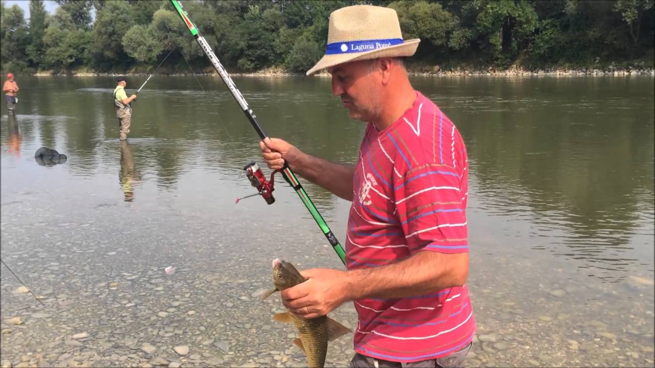 Ribolov plovkom, Sava Zagreb, kraj ljeta 2016Edi i Skobalj - YouTube