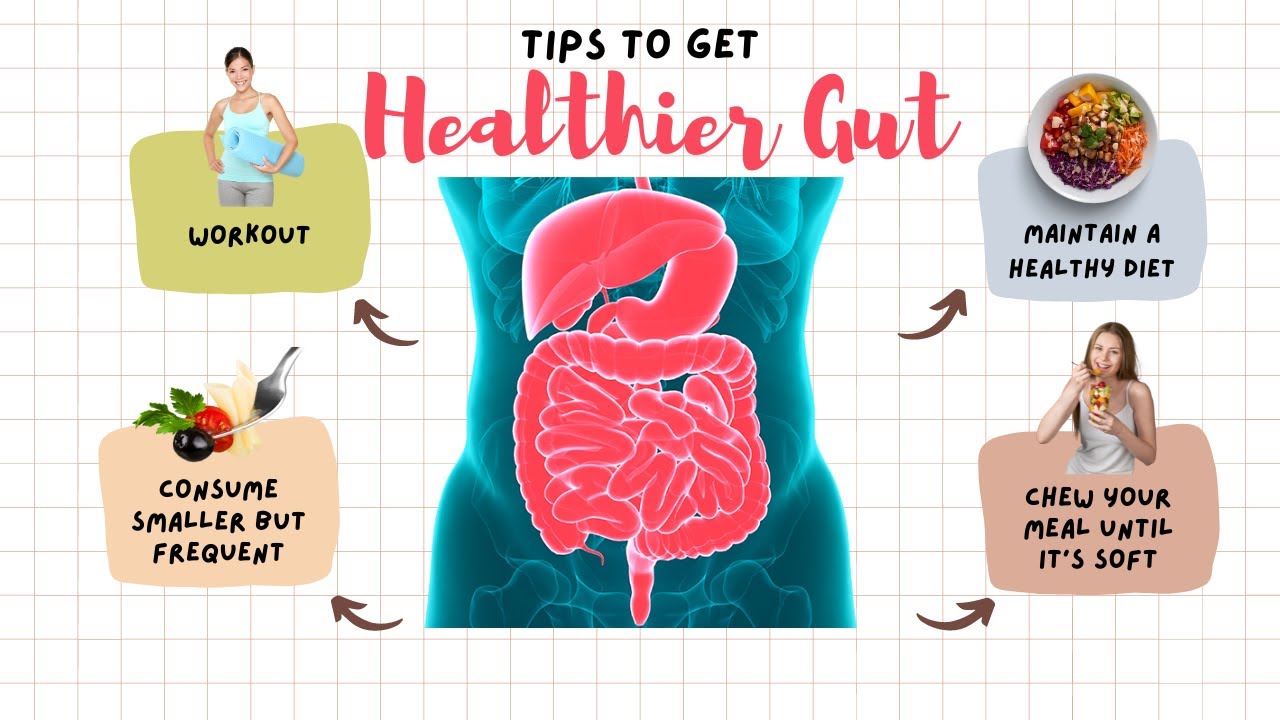 What Does Gut Health Mean? | Secrets To Healthy Gut Health - YouTube
