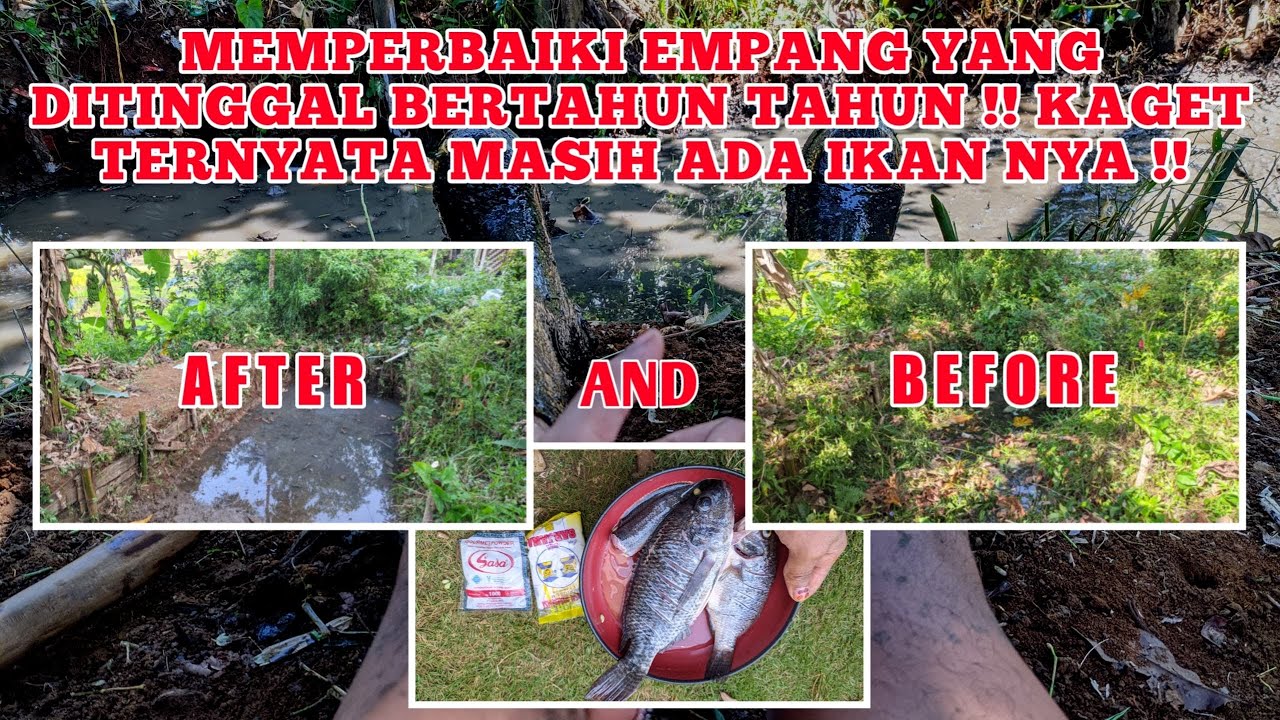 CAPE KU TERBAYAR,TERNYATA MASIH BANYAK IKAN BEASAR NYA !!!!😱😱🤪 - YouTube