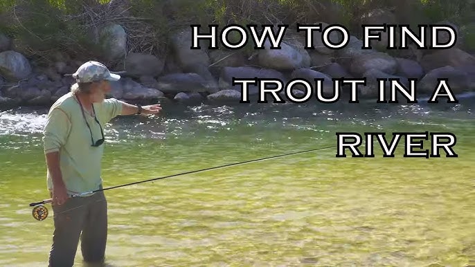 Fly Fishing Lessons Youtube