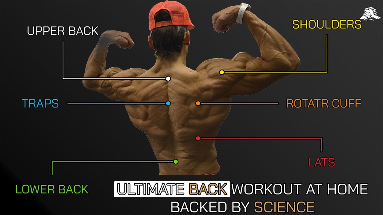 How to Get a BIG and SHREDDED BACK at HOME (Using Science, Tips, and ...