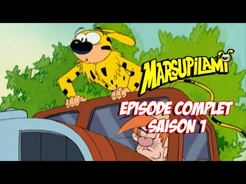 Marsupilami | SAISON 1 EPISODE COMPLET 13,14 & 15 ! | Marsupilami en Français