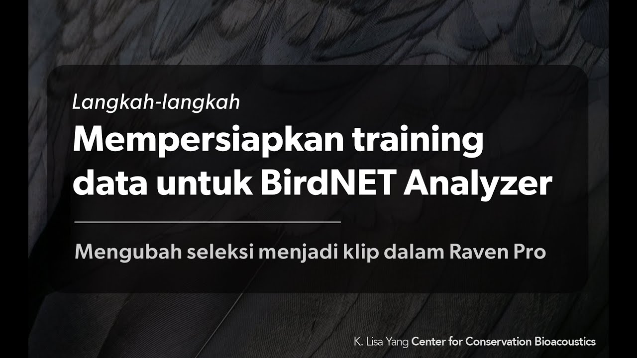 Mempersiapkan trainingdata untuk BirdNET Analyzer - YouTube