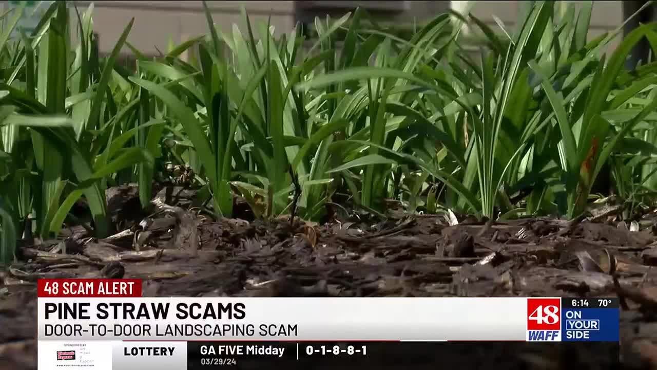 'We've got to get these guys out of town': Homeowner raises concerns ...