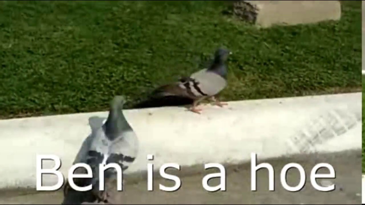 Ben Is A Hoe - YouTube