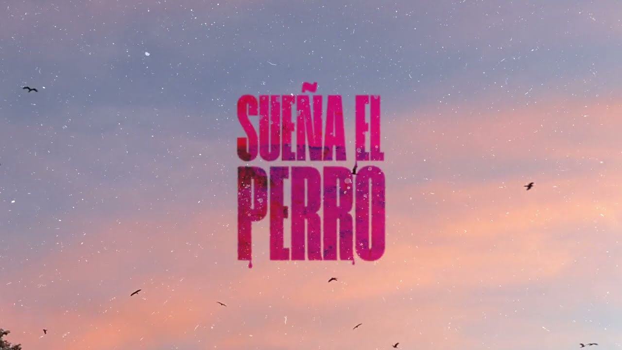 La Chancha Muda - Sueña el perro Acordes - Chordify