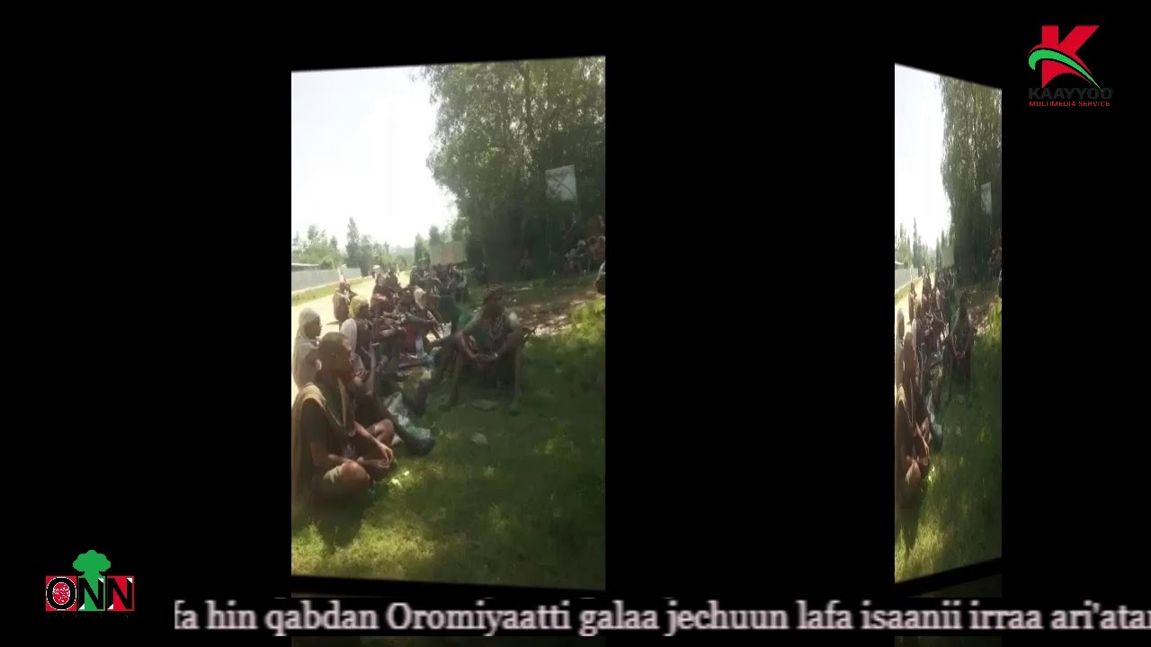 Kaayyoo Multimedia Service - YouTube