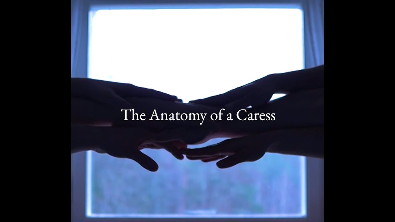The Anatomy of a Caress - YouTube
