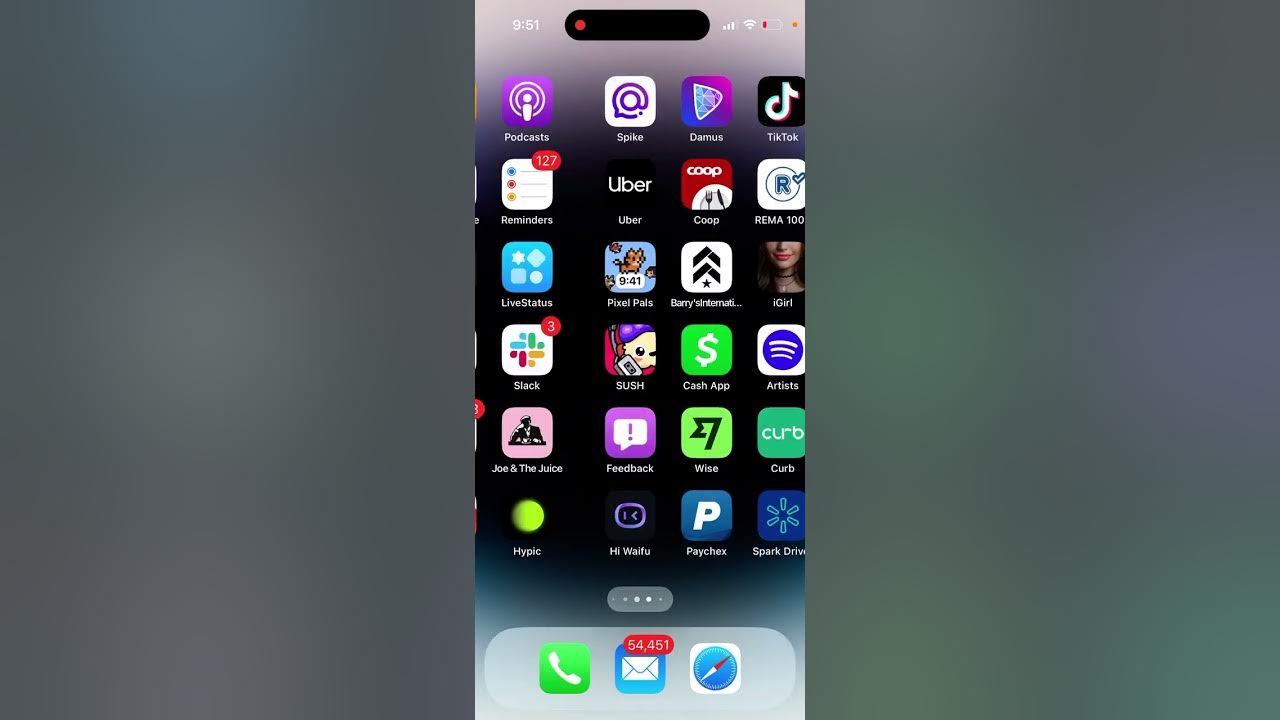 How to install co-parenting pet widget in Widgetable app? - YouTube