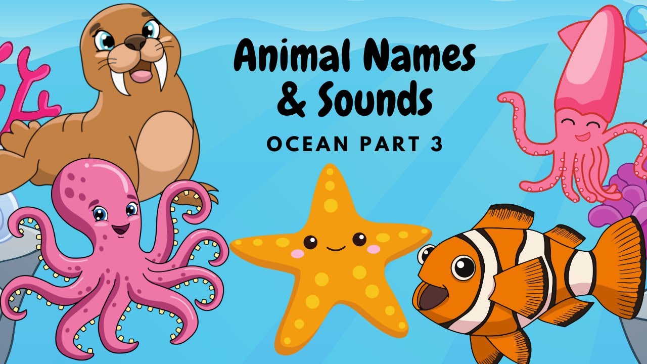 LEARN THE NAMES AND SOUNDS OF MARINE ANIMALS || WALRUS, STARFISH, SQUID ...