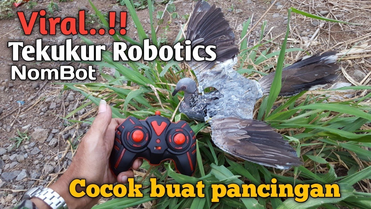 TEKUKUR ROBOTICS BAGUS BUAT NYANGGONG // JONTROT ROBOT BURUNG PIKAT ...