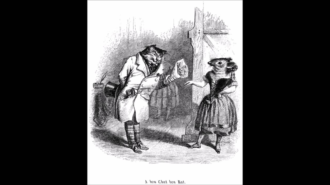 Proverbes | à bon chat, bon rat (explication) - YouTube