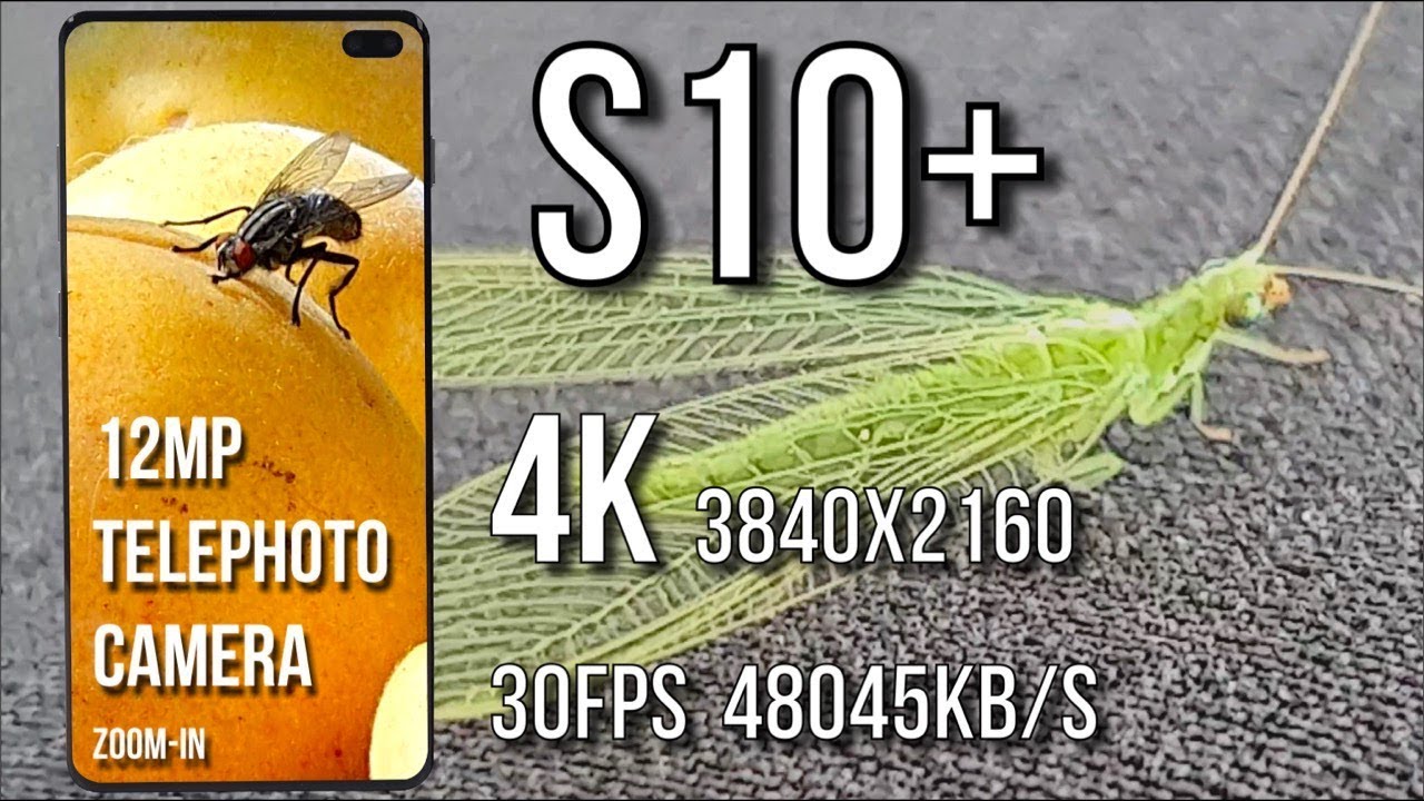 Samsung Galaxy S10 Plus Camera Video Sample 4K 1080p Portrait Mode ...