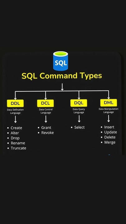 Types Of SQL Command - YouTube