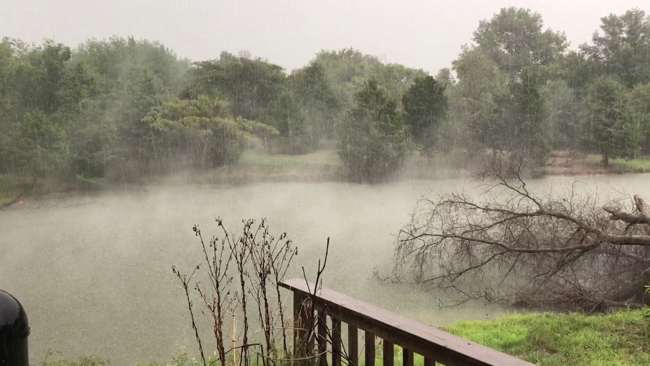 Awesome Fog Over Pond! - YouTube