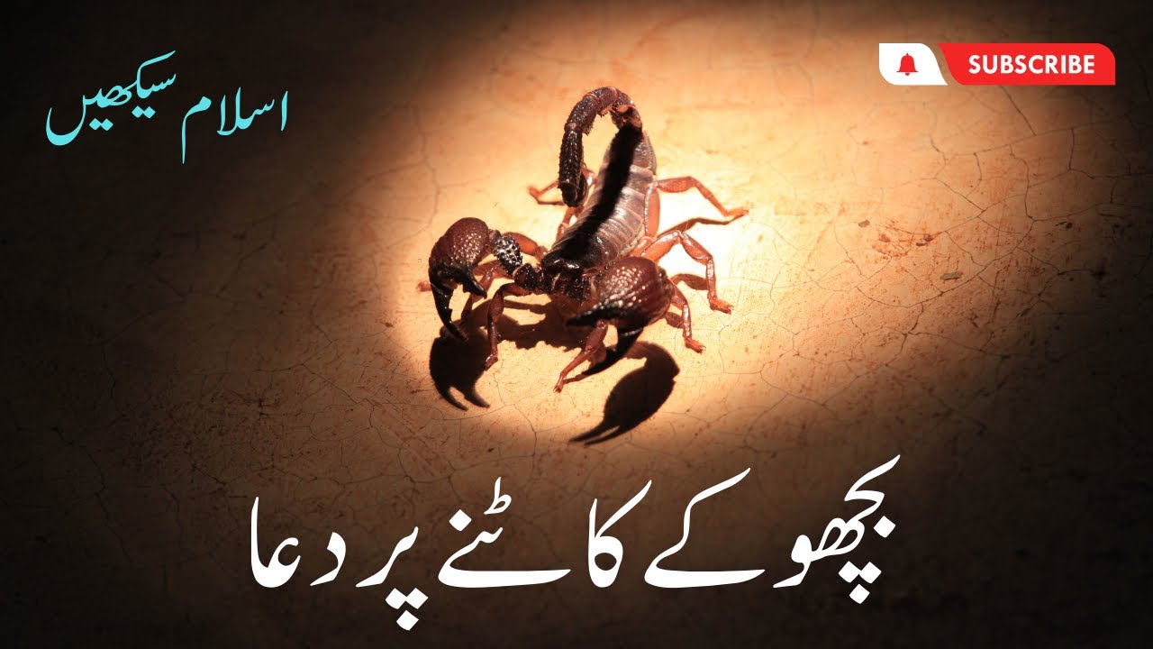 Dua jab Bichu Ne Kata || بچھو کے کاٹنے پر دعا || - YouTube