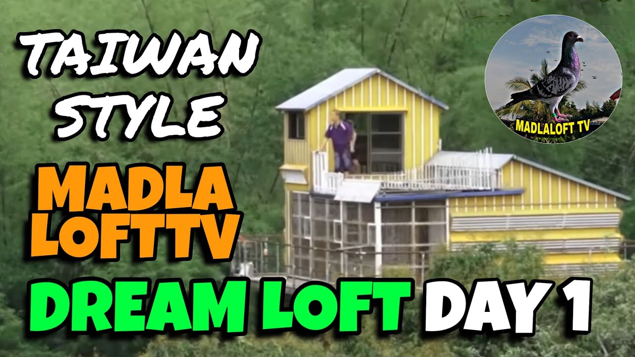 MAGPAPAGAWA NA AKO NG MADLA LOFT TV DREAM PIGEON MANSION LOFT WORTH ...
