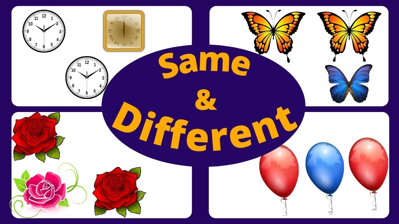 Same and Different Things | वही और अलग चीजें | Kids Learning - YouTube